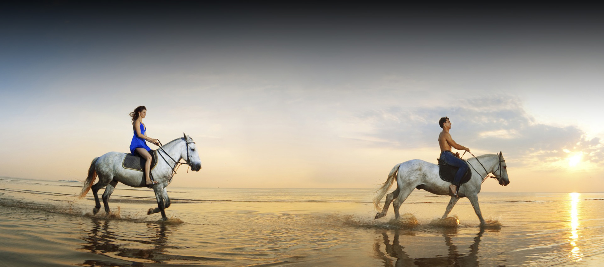 Horseback Riding In Negril, Jamaica - Reggaehorsebackriding.com
